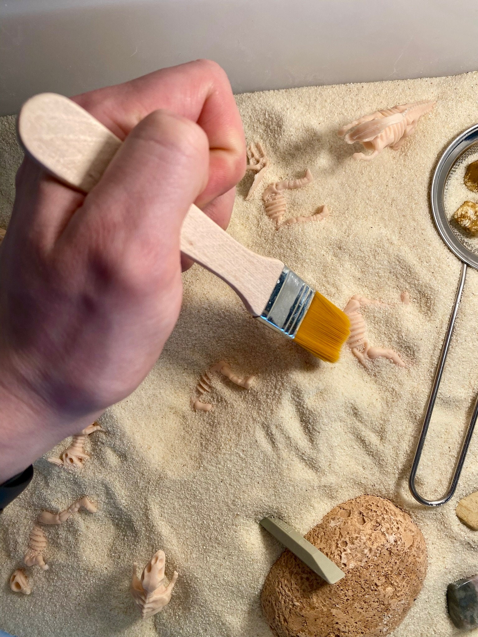 Dinosaur Sensory Box: Unearth a Prehistoric Adventure! Develop Sensory ...