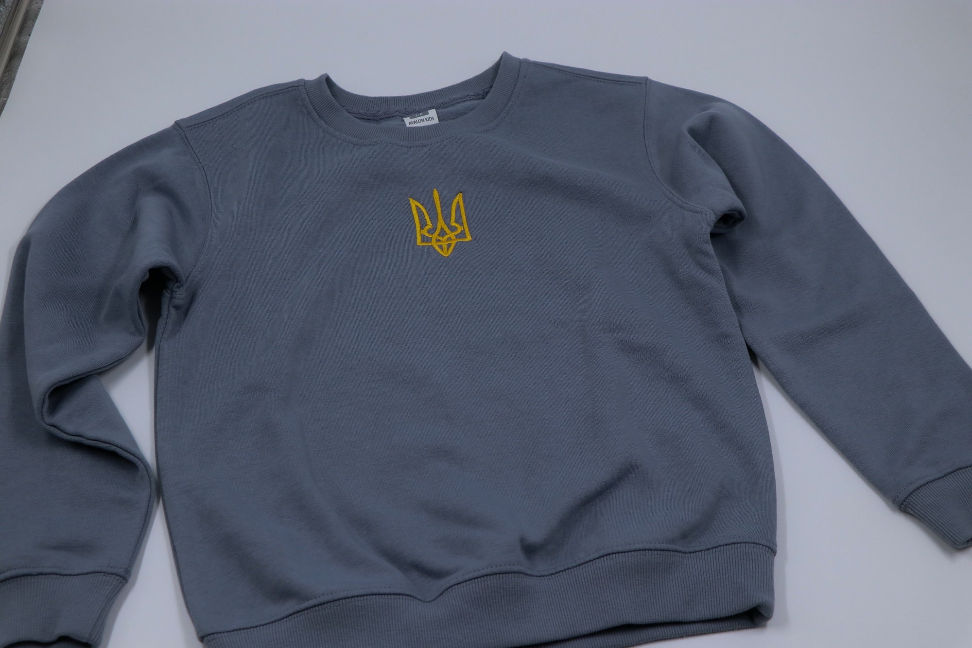 Ukrainian Patriotic for KIDS , Embroidery Sweatshirt, Sweatshirts for ...