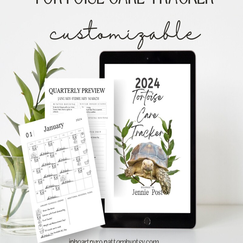 Tortoise Food - Etsy