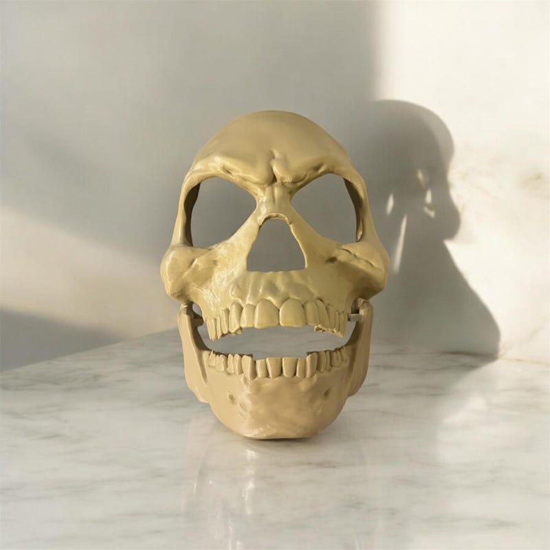 Skeleton Mask - Etsy