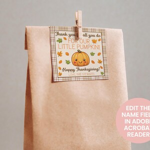 Little Pumpkin Tag, Thanksgiving Cookie Square Tag, Fall Thank You ...