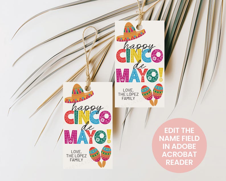 Cinco De Mayo Tags, Fiesta Gift Tags, Cinco De Mayo Party Printables ...