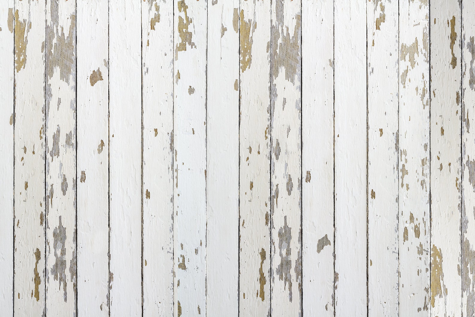 Scraped White Planks Distressed Wood Peeling Paint ...