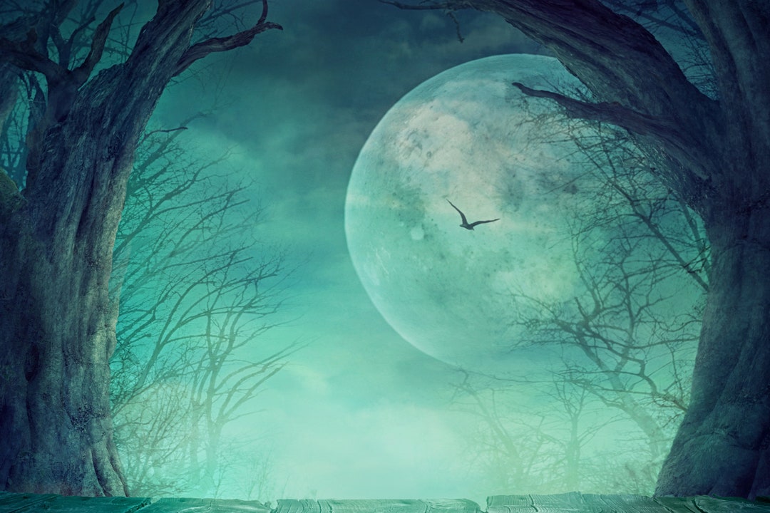 Spooky Full Moon Forest Background With Dark Trees Eerie Halloween ...