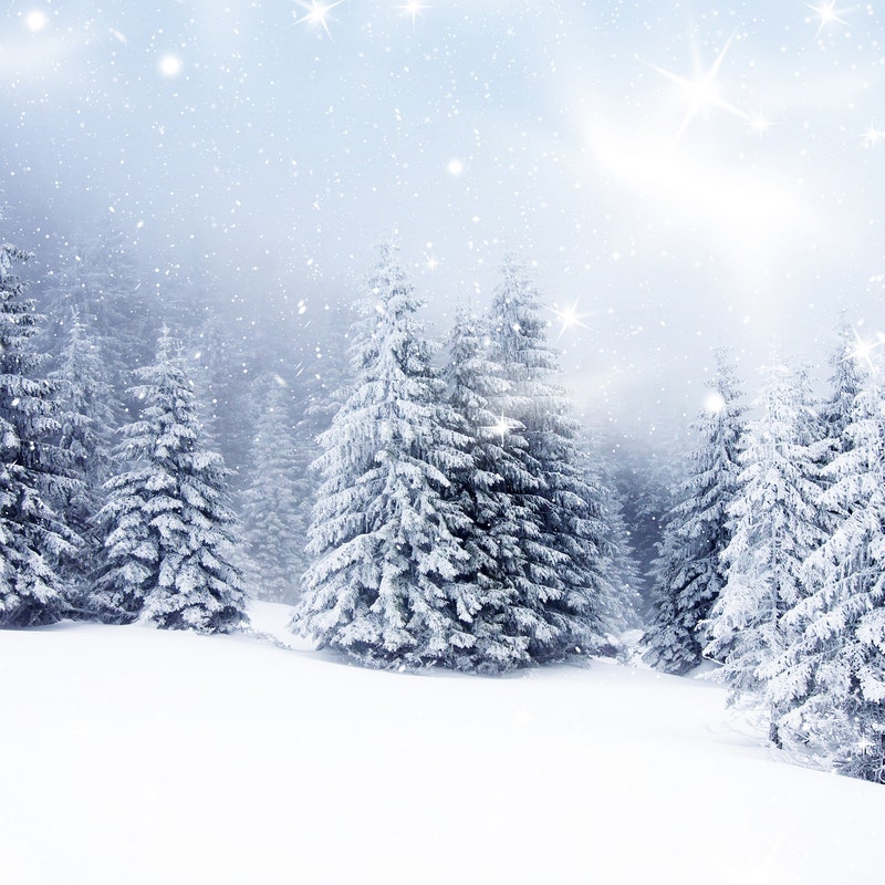 Winter Backdrop - Etsy