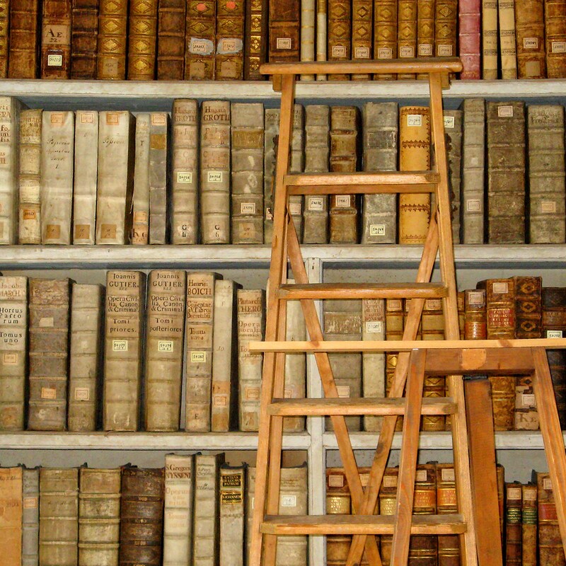 Library Ladder - Etsy