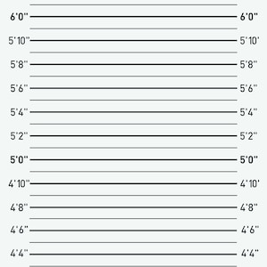 Mugshot Police Lineup Height Measurement Lines Themed Shoots Costume ...