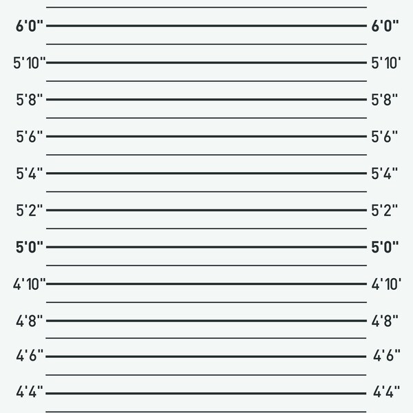 Mugshot Backdrop - Etsy