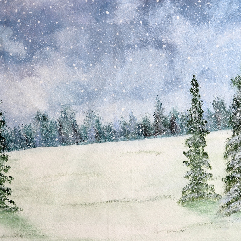 Winter Scene Backdrops - Etsy
