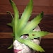 Green Pot Leaf, Marijuana Leaf Leather Mask - Etsy