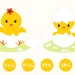 Chick Hatching Svg, Cute Baby Chick Svg Png, Chicks Boy and Girl Svg ...