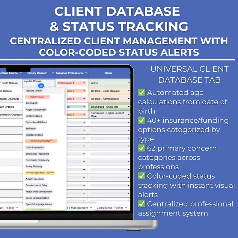 Caseload Spreadsheet for Therapists, Social Workers, and Healthcare ...