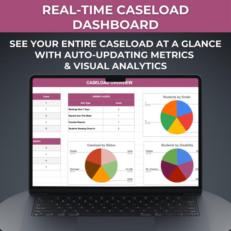 Buy School Psychologist Planner: Digital IEP Tracker, Caseload ...
