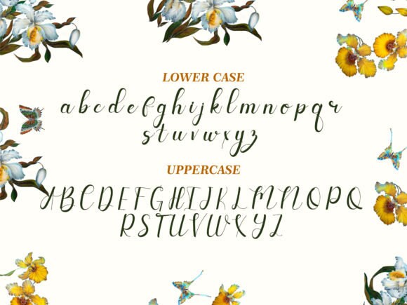 Launch Font, Display Font, Vintage Cricut Font, Font Bundle for Cricut ...