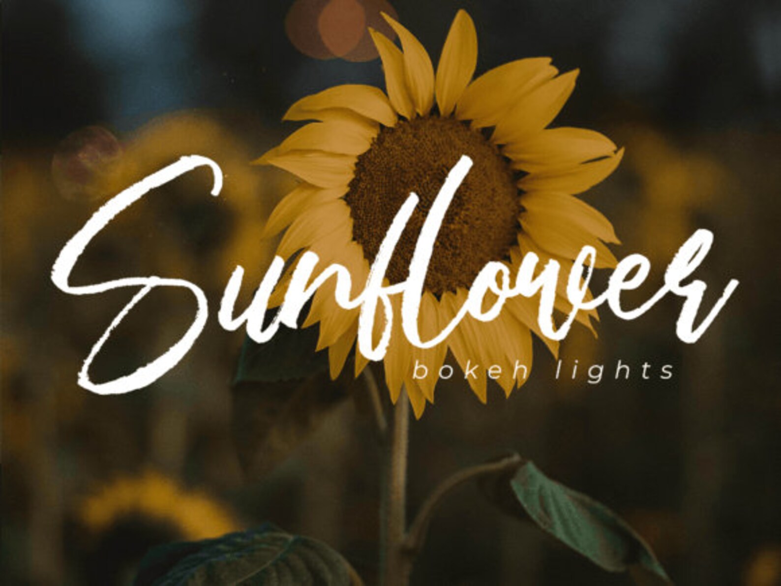 Faith Font, Handwritten Font, Wedding Font, Modern Font, Display Font ...