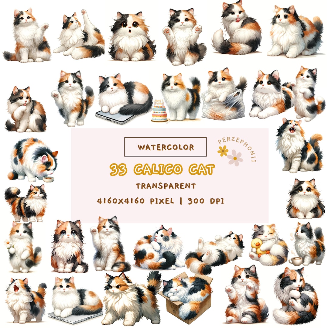 Calico Cat Watercolor Clipart 28 PNG 4160x4160 Pixel 300DPI for Crafts ...