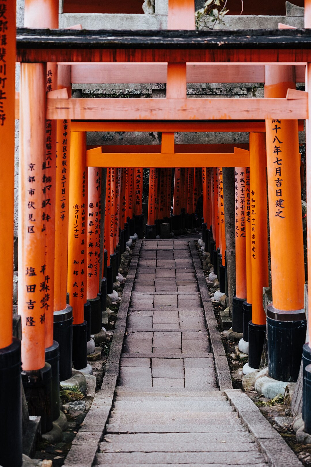 Fushimi Inari Shrine Print - Japan Wall Art, Fine Art Prints, Japan ...