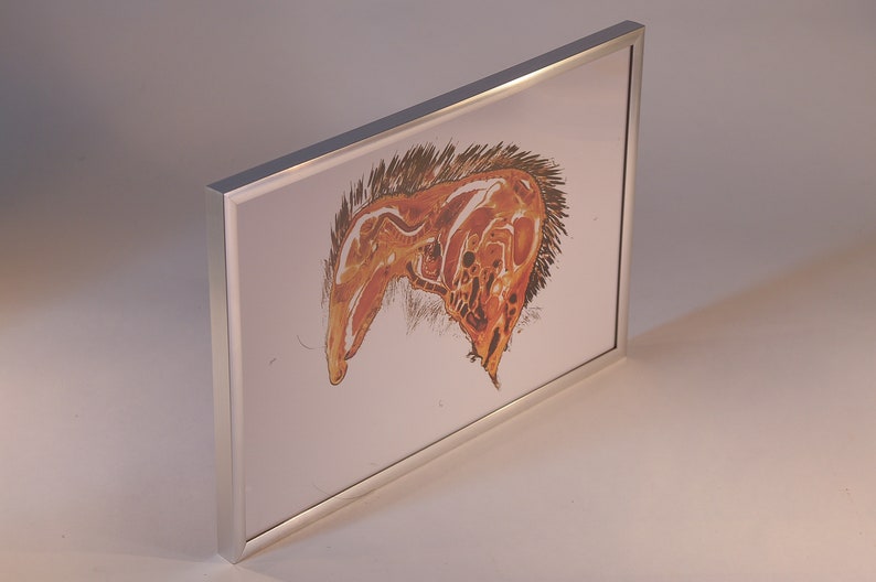 Hedgehog Anatomy Quill Biological Sheet Plastination Specimen - Etsy