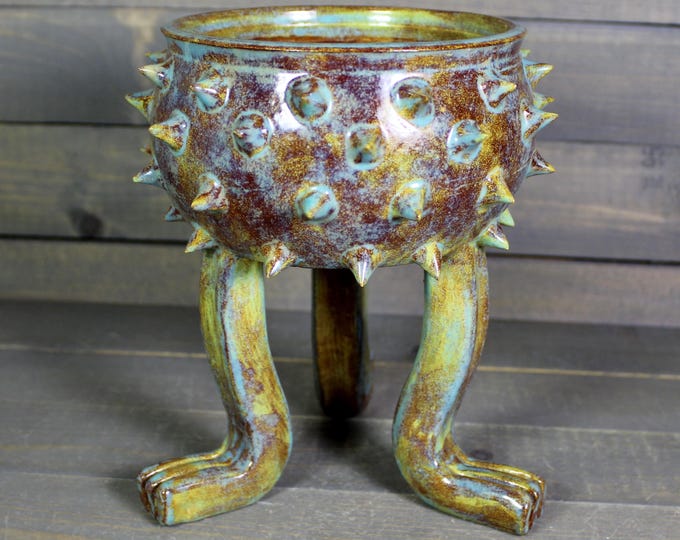 Succulent Cactus Planter - Grouchy Pot Planter - Planter With Spikes ...