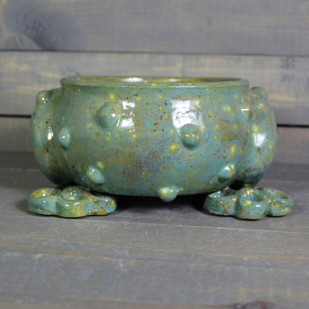 Ceramic Frog Planter Frog Leg Planter Pot Frog Succulent - Etsy