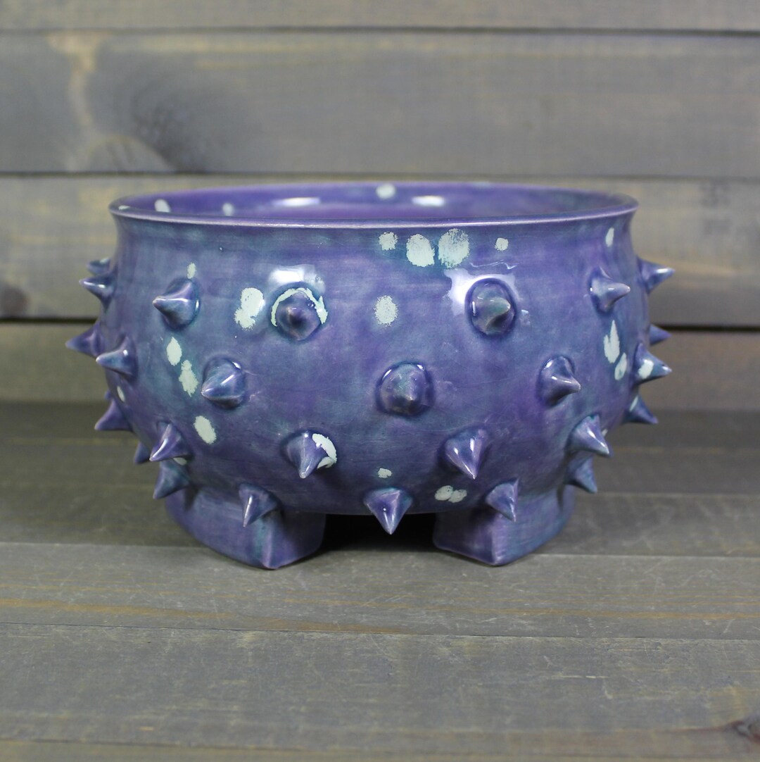 Purple Spiked Ceramic Bonsai Pot: Artisan Pottery Planter - Etsy