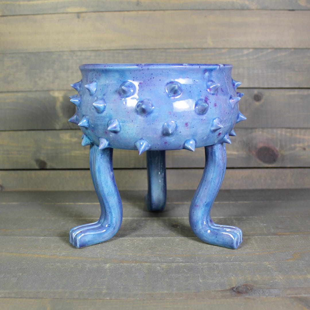 Cactus Succulent Planter - Grouchy Pot Planter - Planter With Spikes ...