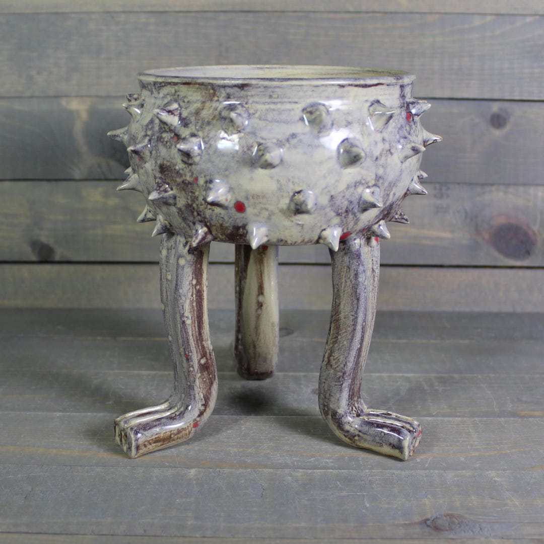 Cactus Succulent Planter - Grouchy Pot Planter - Planter With Spikes ...