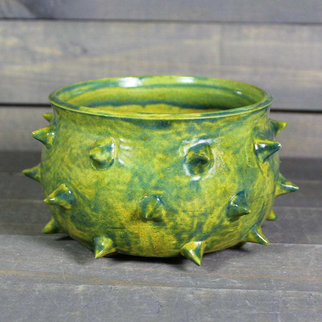 Small Ceramic Planter - Ceramic Planter Pot With Spiked Texture - Small ...