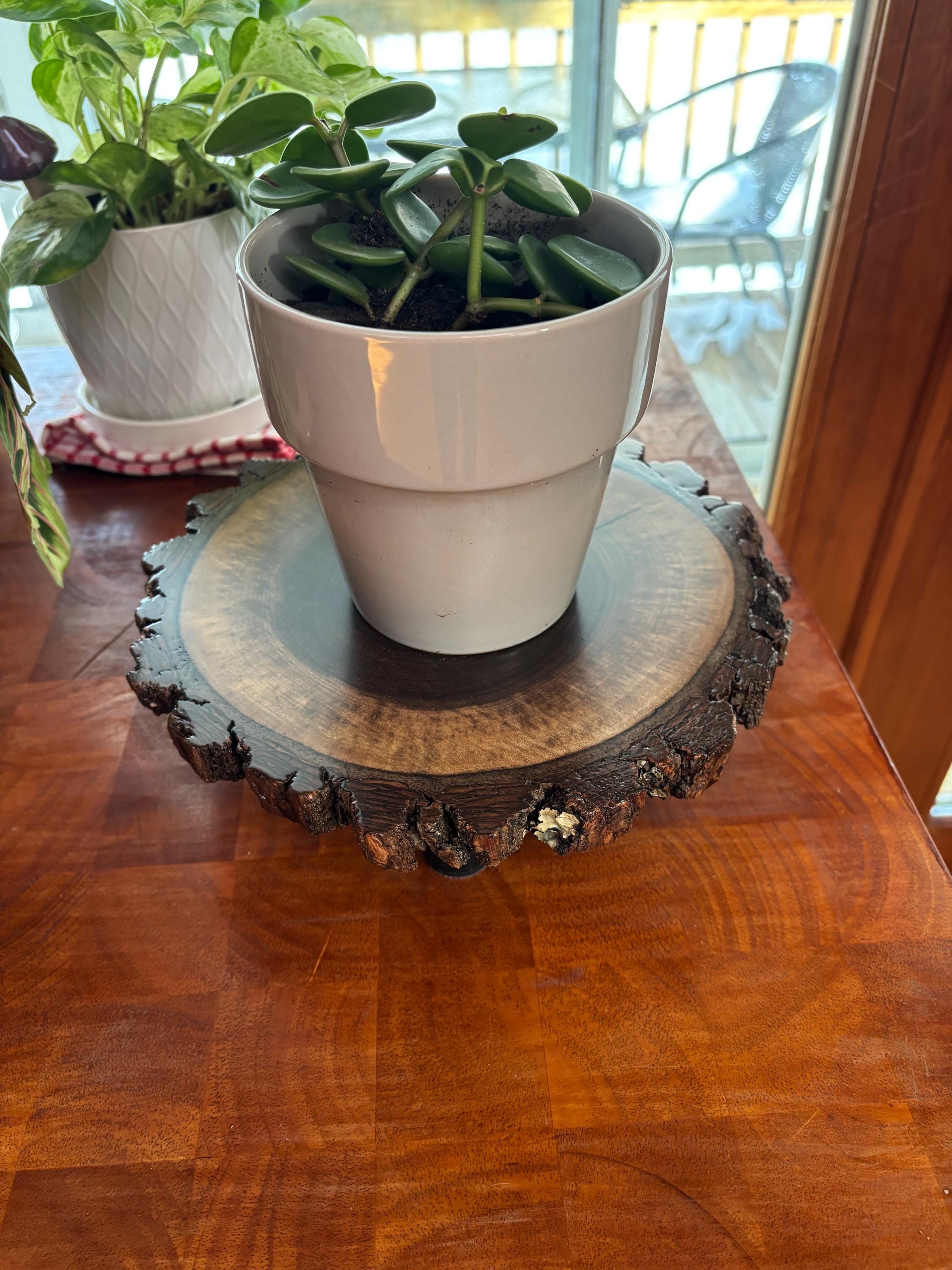 Live Edge Walnut Wood Centerpiece - Etsy