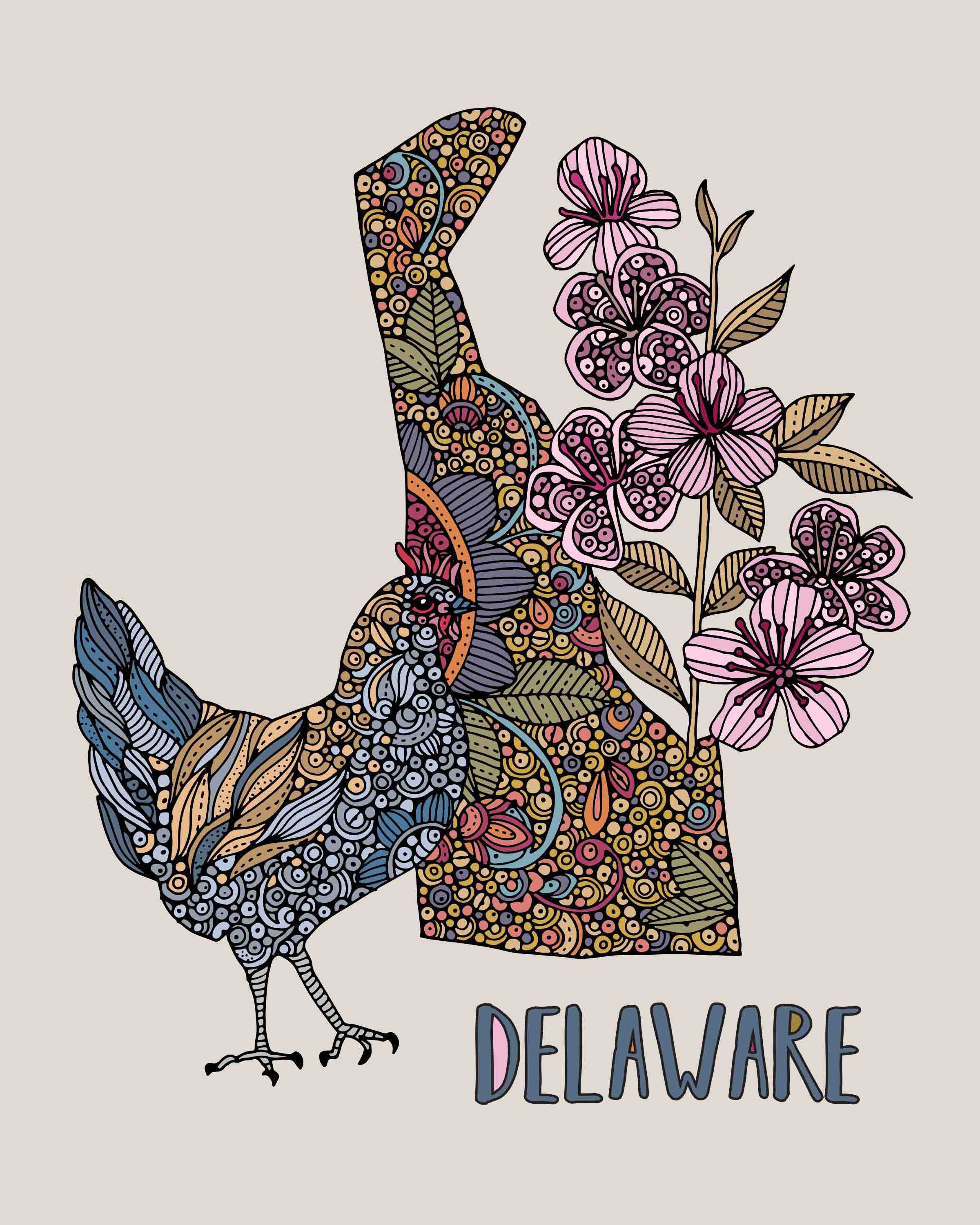 Delaware State Bird