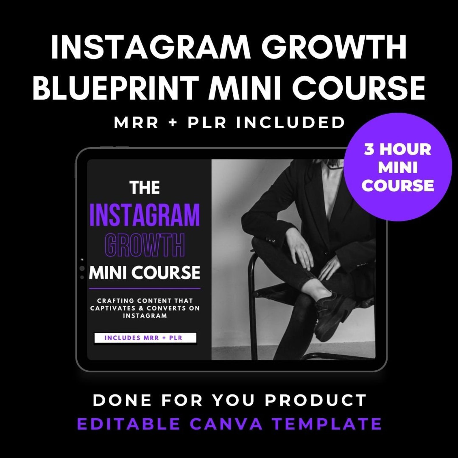 Instagram Growth Blueprint + Back to the Basics - Mini Course Bundle PLR MRR Master Resell ...