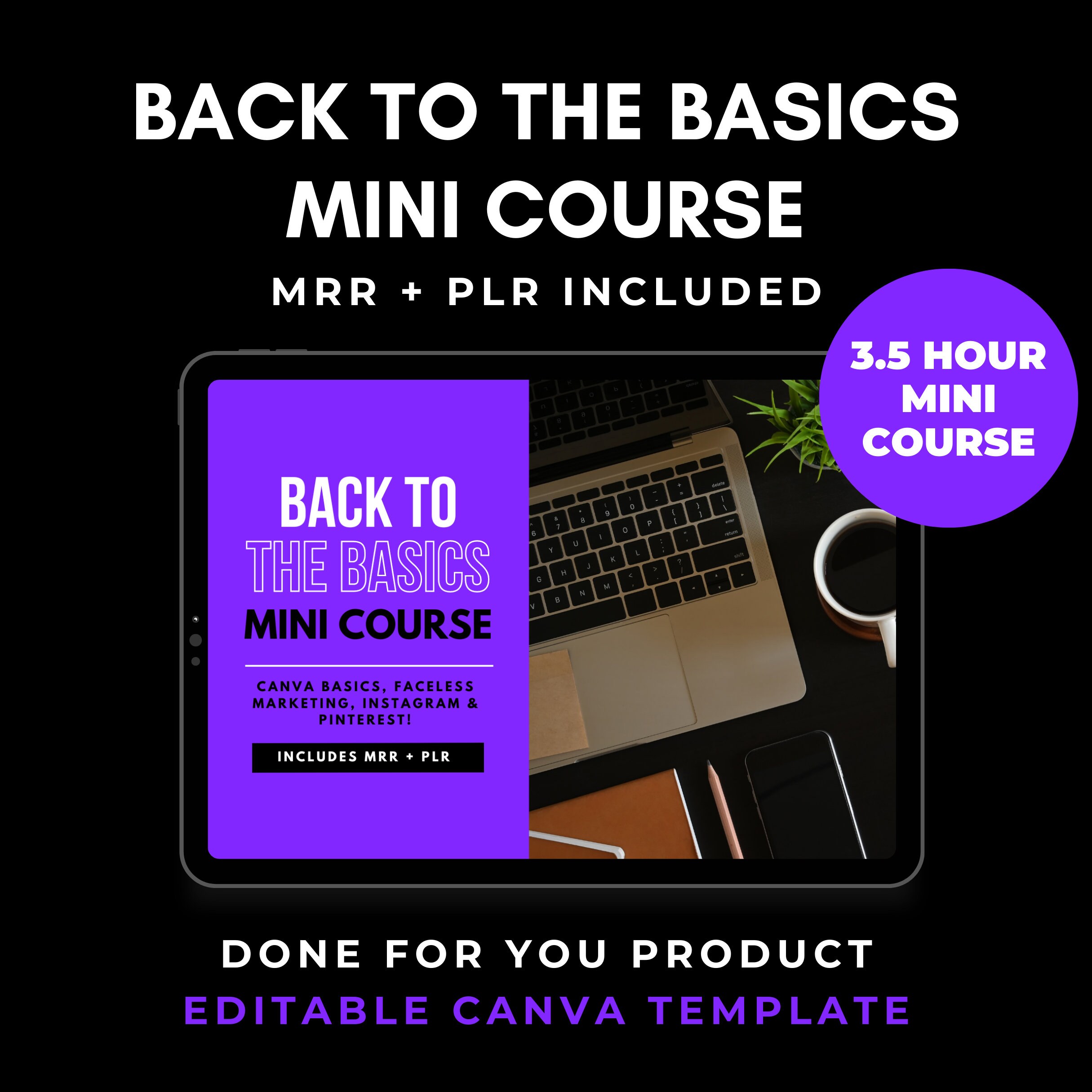 Instagram Growth Blueprint, Pathway to Profits, Back to Basics - Mini Course Bundle PLR MRR ...