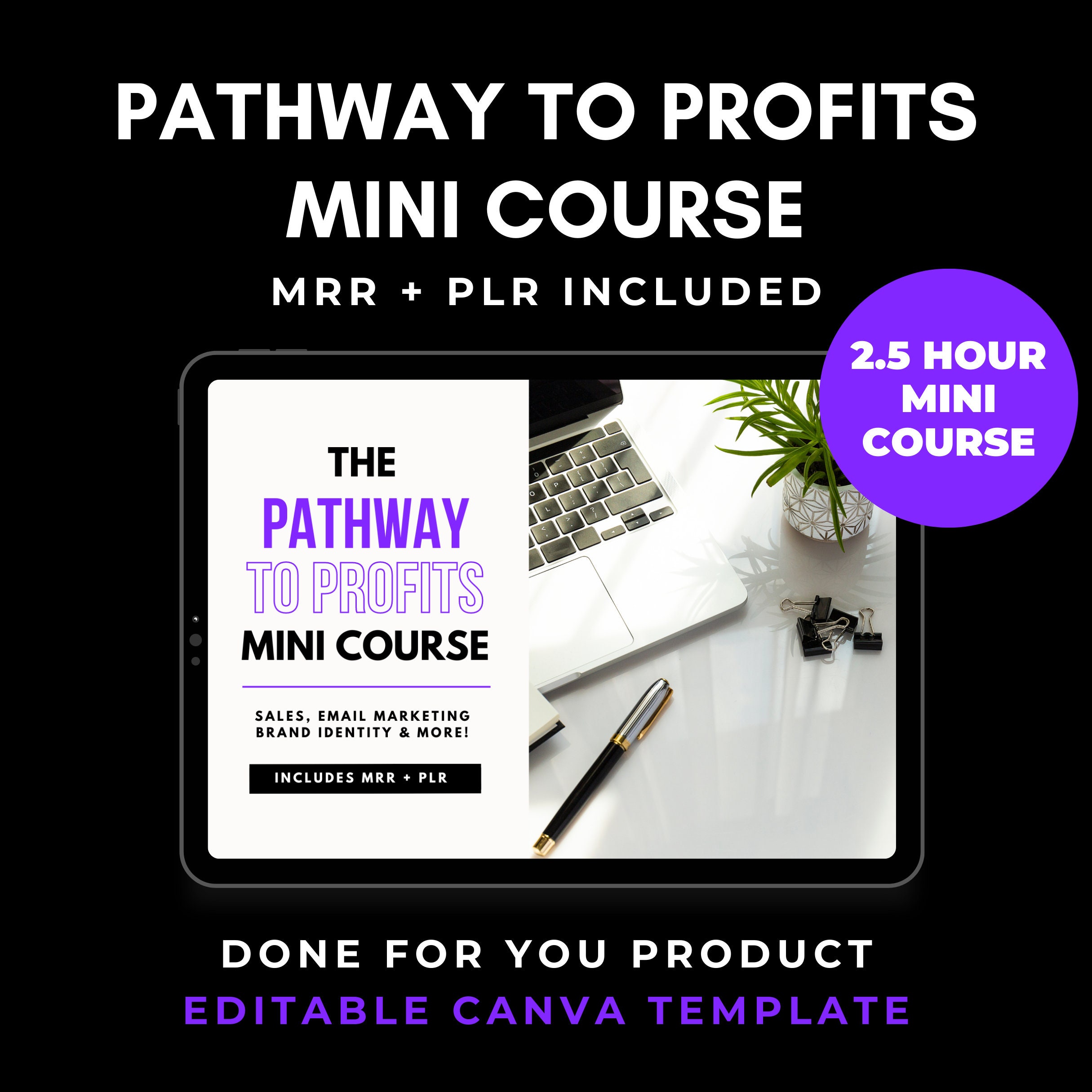 Instagram Growth Blueprint, Pathway to Profits, Back to Basics - Mini Course Bundle PLR MRR ...