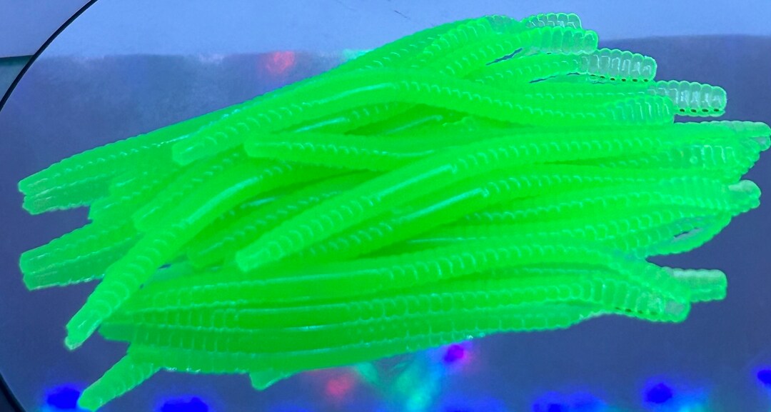3 Trout Worm 40 Pack zombie Snot GLOWS floating and Non-floating ...