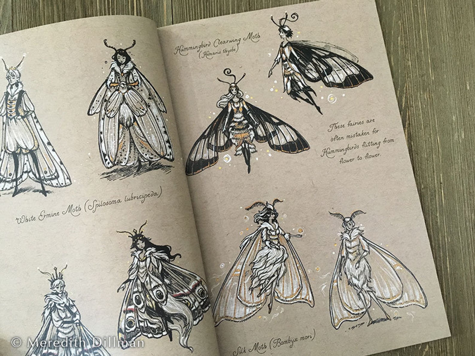 Inkwork: Led by Mothlight Book, Ink Drawing Artbook, Fairies, Moths ...