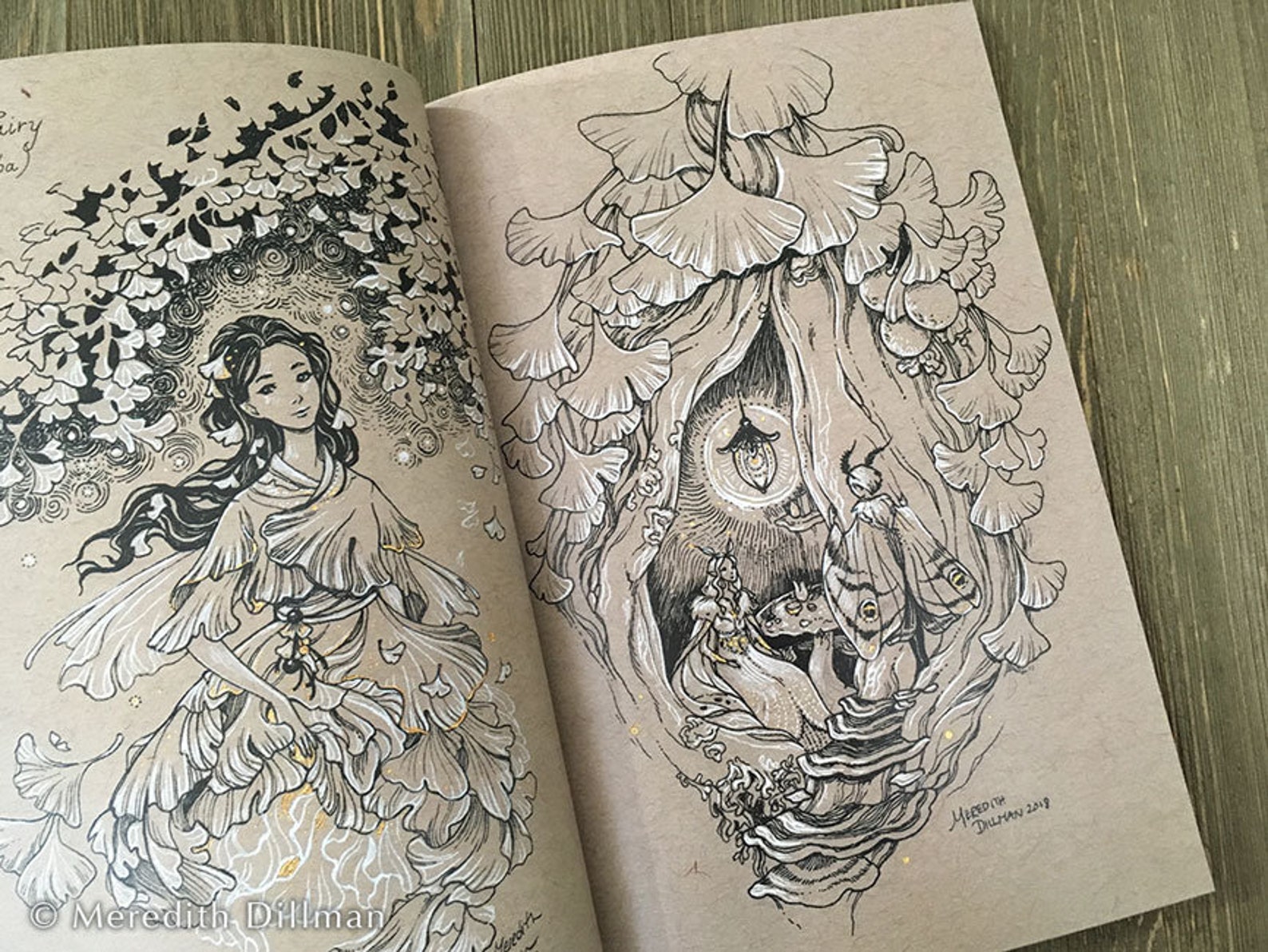 Inkwork: Led by Mothlight Book Ink Drawing Artbook Fairies - Etsy