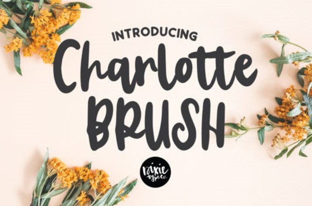 Charlotte Brush Font, Script Font, Handwritten Font, Cursive Font ...