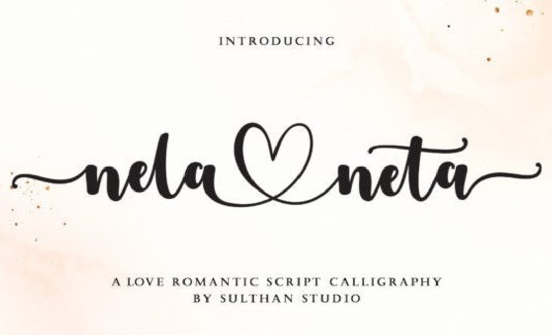 Nela Neta Font, Handwritten Font, Calligraphy Font, Thin Font, Modern ...