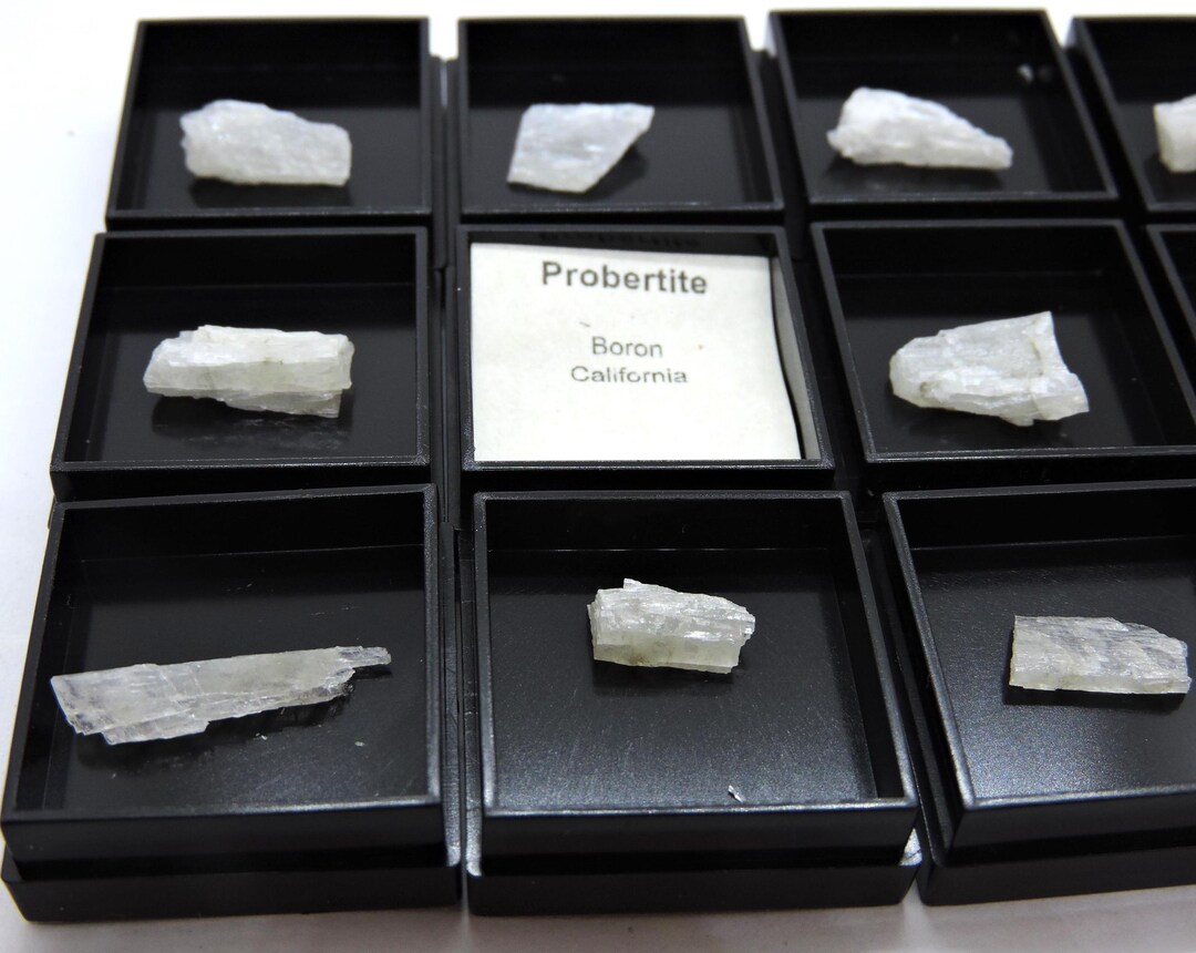 Probertite in Micromount Acrylic Box Bulk Wholesale - Etsy
