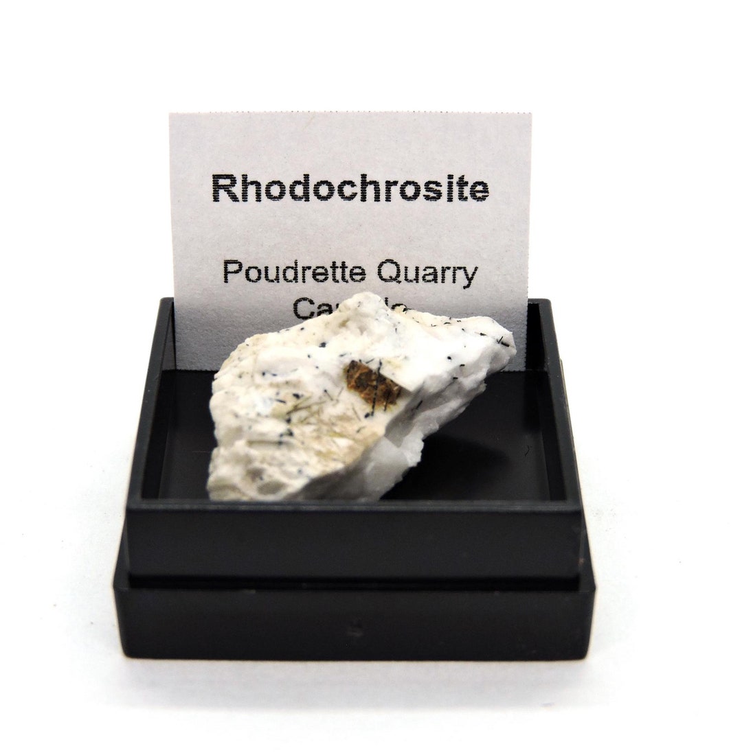 Rhodochrosite in Micromount Box Mineral Specimen - Etsy