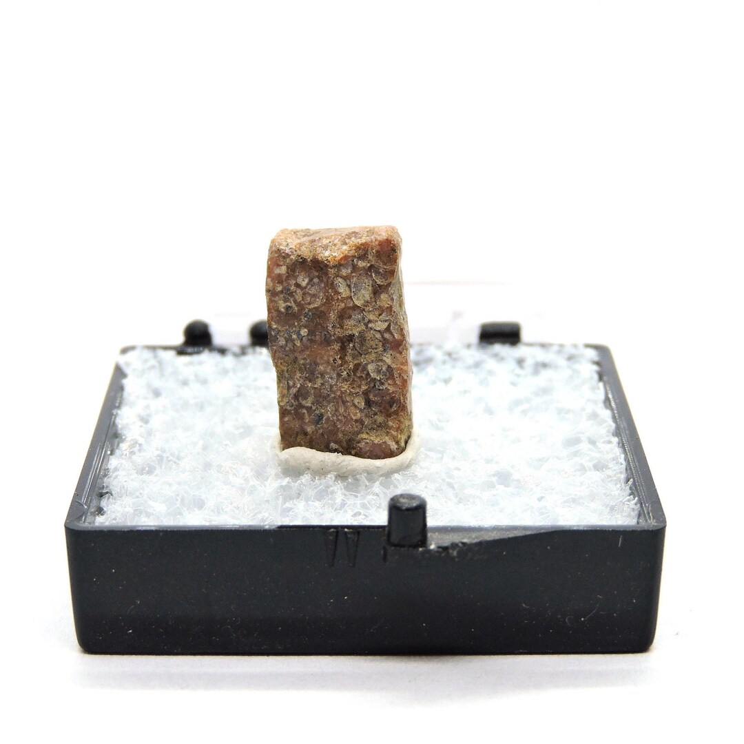 Ruby Crystal in Perky Box Thumbnail Mineral Specimen - Etsy