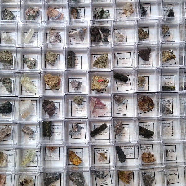 Rock Collection Box - Etsy