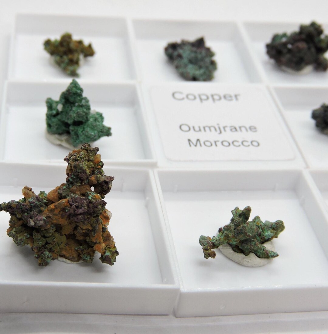 Copper in Micromount Acrylic Box Bulk Wholesale - Etsy