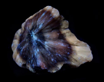 Barite Rose Rock Crystal - Etsy