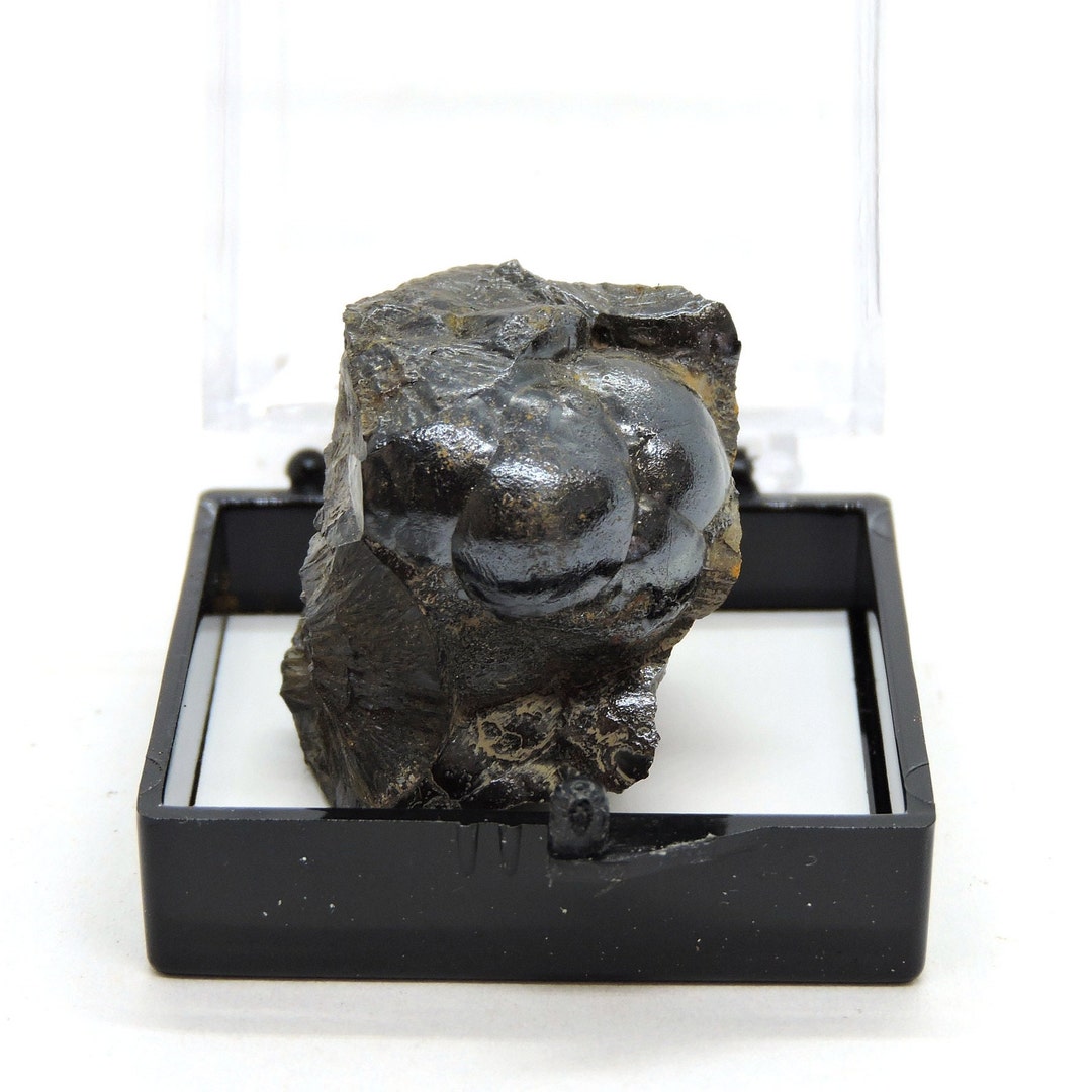 Botryoidal Hematite in Perky Box Thumbnail Mineral Specimen - Etsy