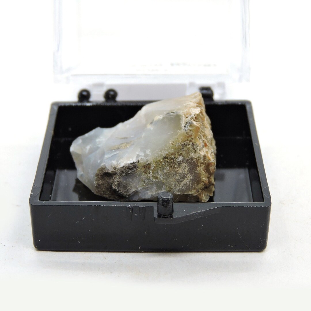 Coprolite in Perky Box Thumbnail Mineral Specimen - Etsy