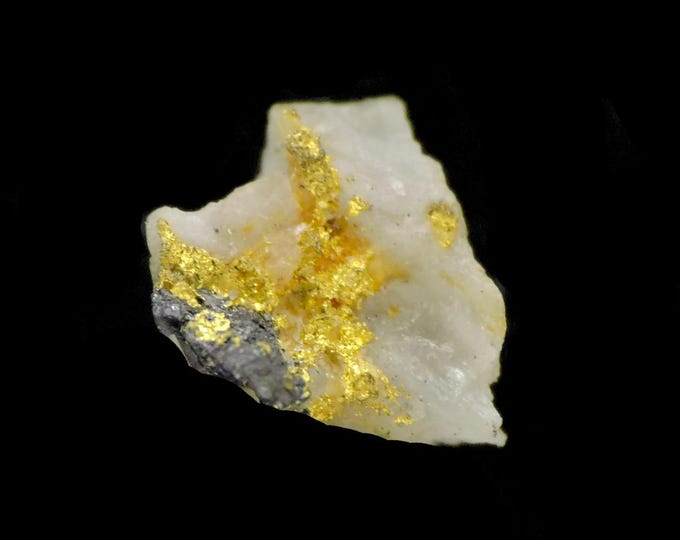 Native Gold in Micromount Box Thumbnail Mineral Specimen - Etsy