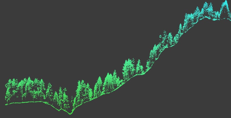 Forest Profiles Liart 1, Printable - Etsy
