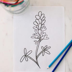 Bluebonnet Coloring Page - Etsy