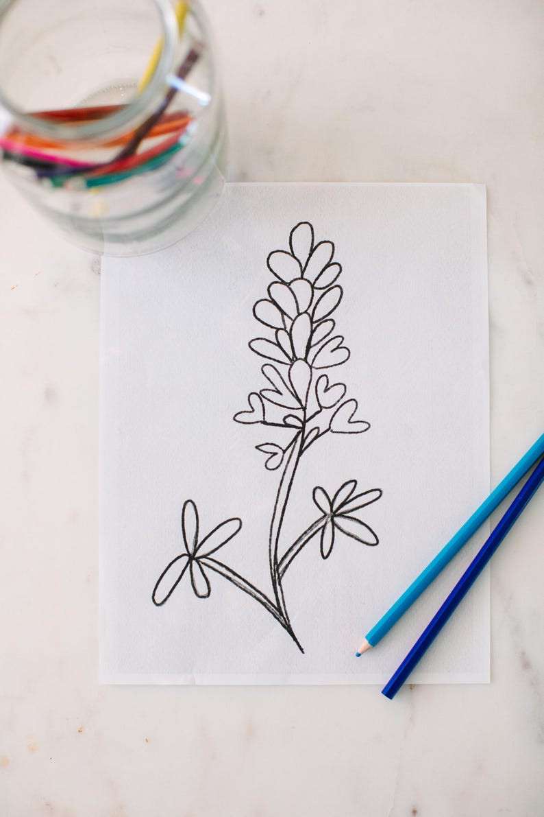 Bluebonnet Coloring Page - Etsy